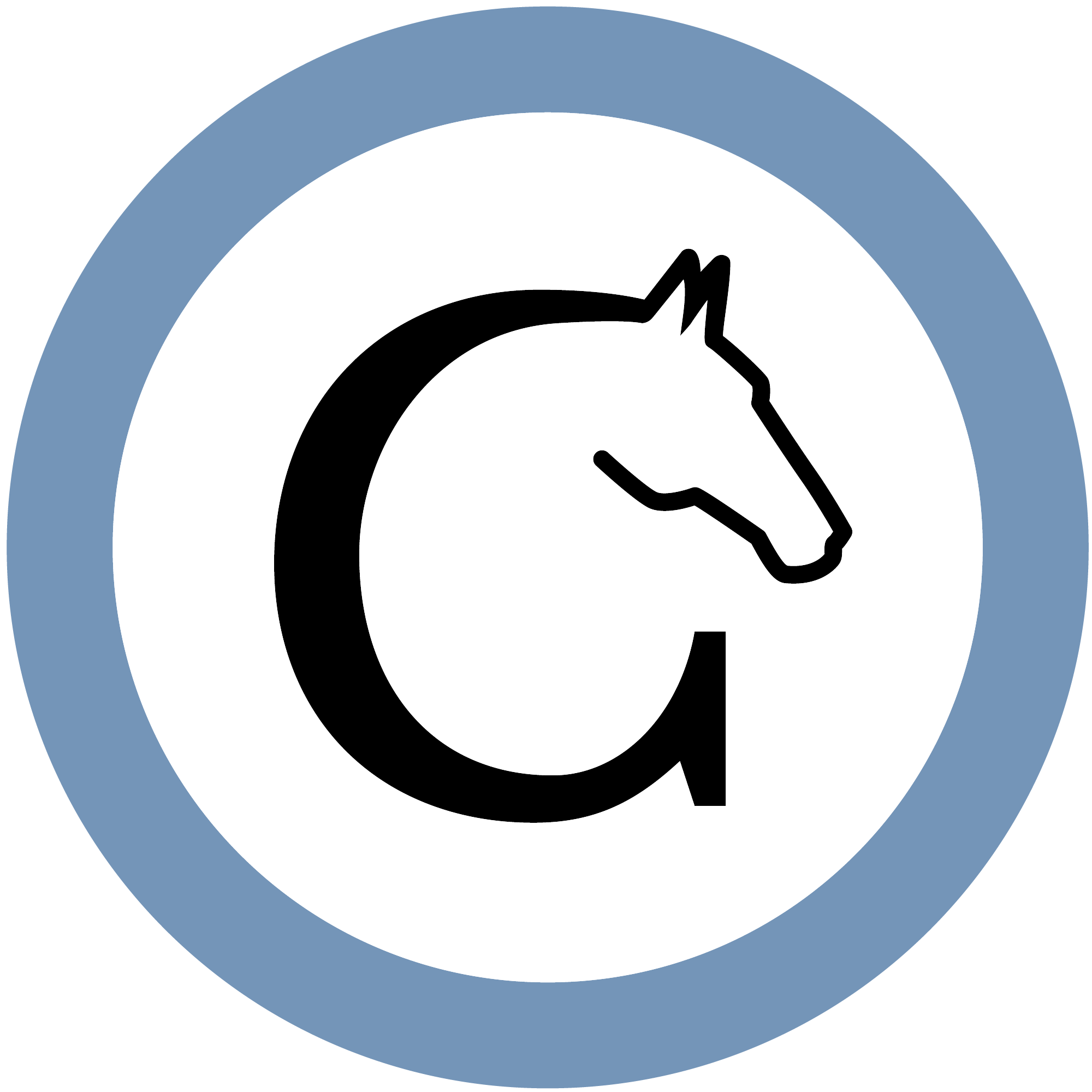Team - C-Equine