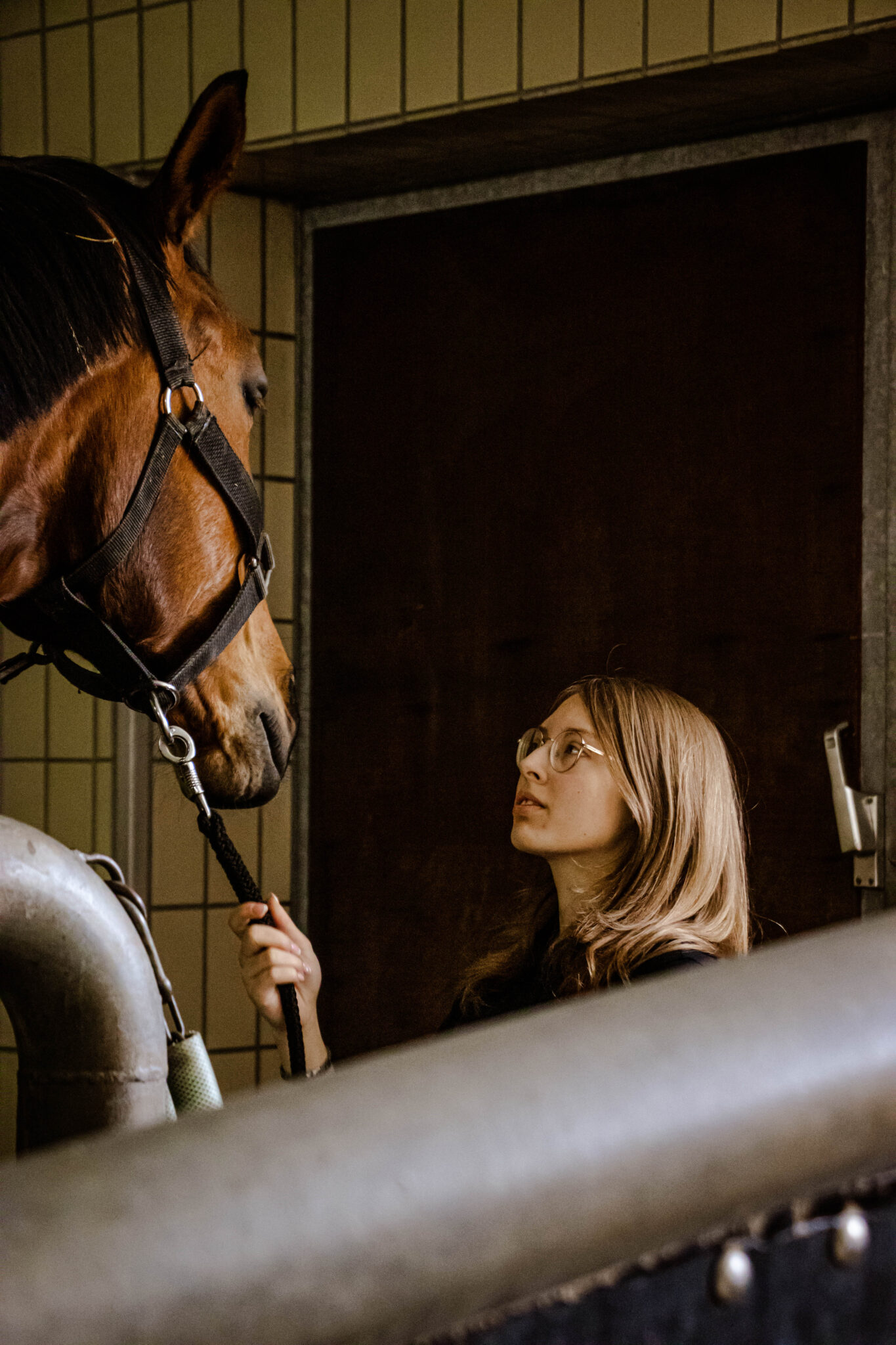 Pferdegesundheitsplan - C-Equine | Informieren sie sich Jetzt!